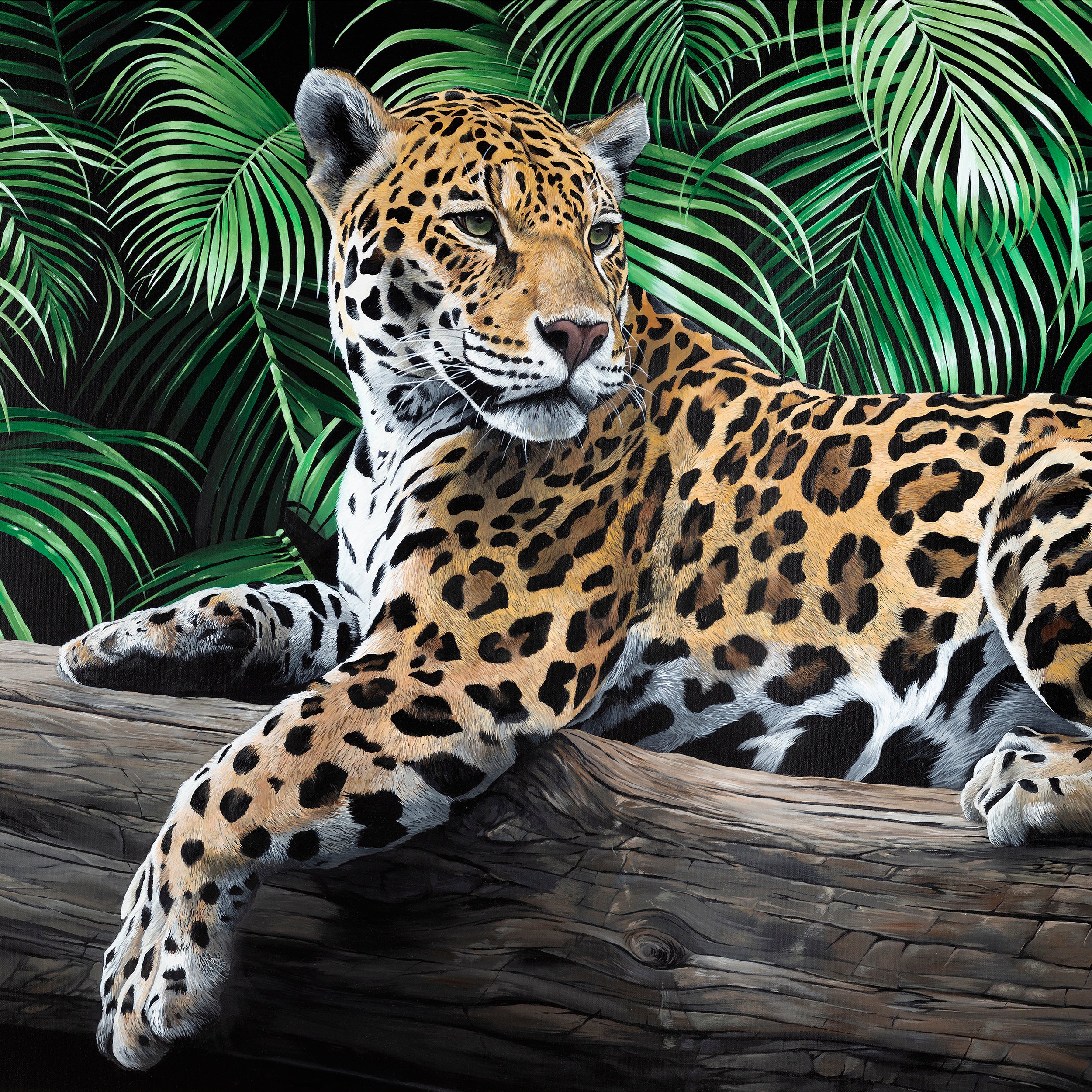 Paintings – Tom Fitch Art